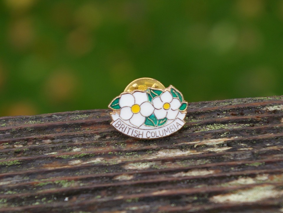 British Columbia Gold Tone Metal Enamel Lapel Pin Pinback Flowers ...