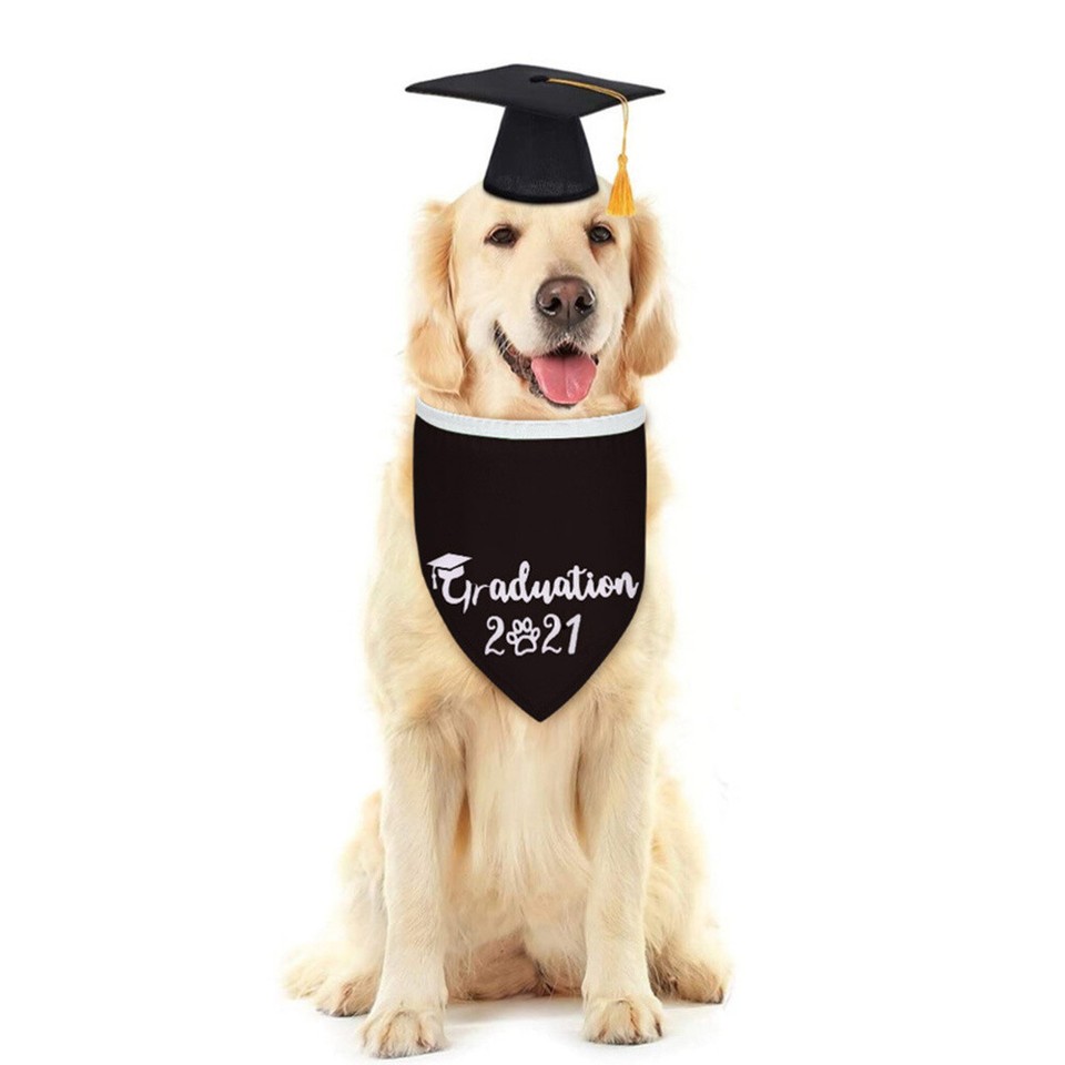 2PCS Dogs Cats Grade Outfits Pet Graduation Costume Cat Black ...
