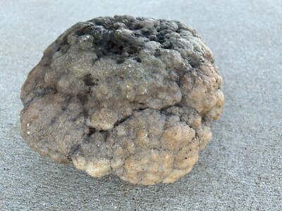 Extra Large Unopened Geode Rare KY Geode Great Addition To Any ...