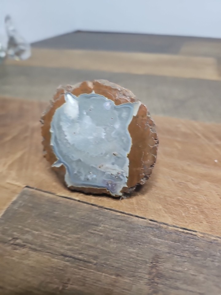 Dugway Thunderegg Polished Rock Geode Blue Agate. Skull With Horns ...