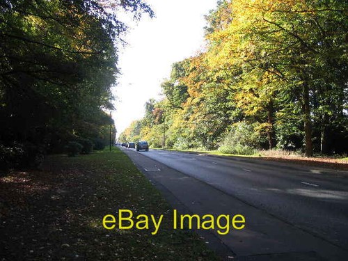 Photo 6x4 A429 Kenilworth Road Coventry The road passes the trees of ...