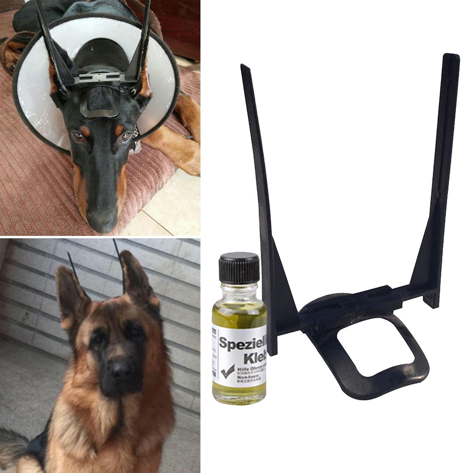 Dog Ear Stand Pet Large Dogs Erect Ear Care Tool | eBay