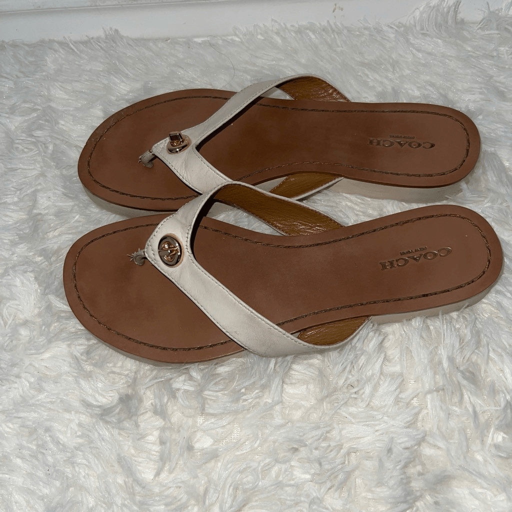 Coach Shelly leather flip flop sandals - Gem