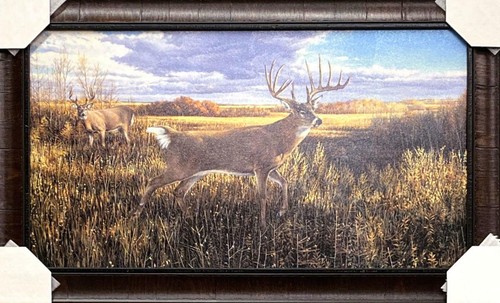Ron Van Gilder The Hanson Buck Art Deer Hunting Print-Framed | eBay