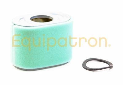 Briggs & Stratton 797032 Air Cleaner Cartridge Filter | eBay