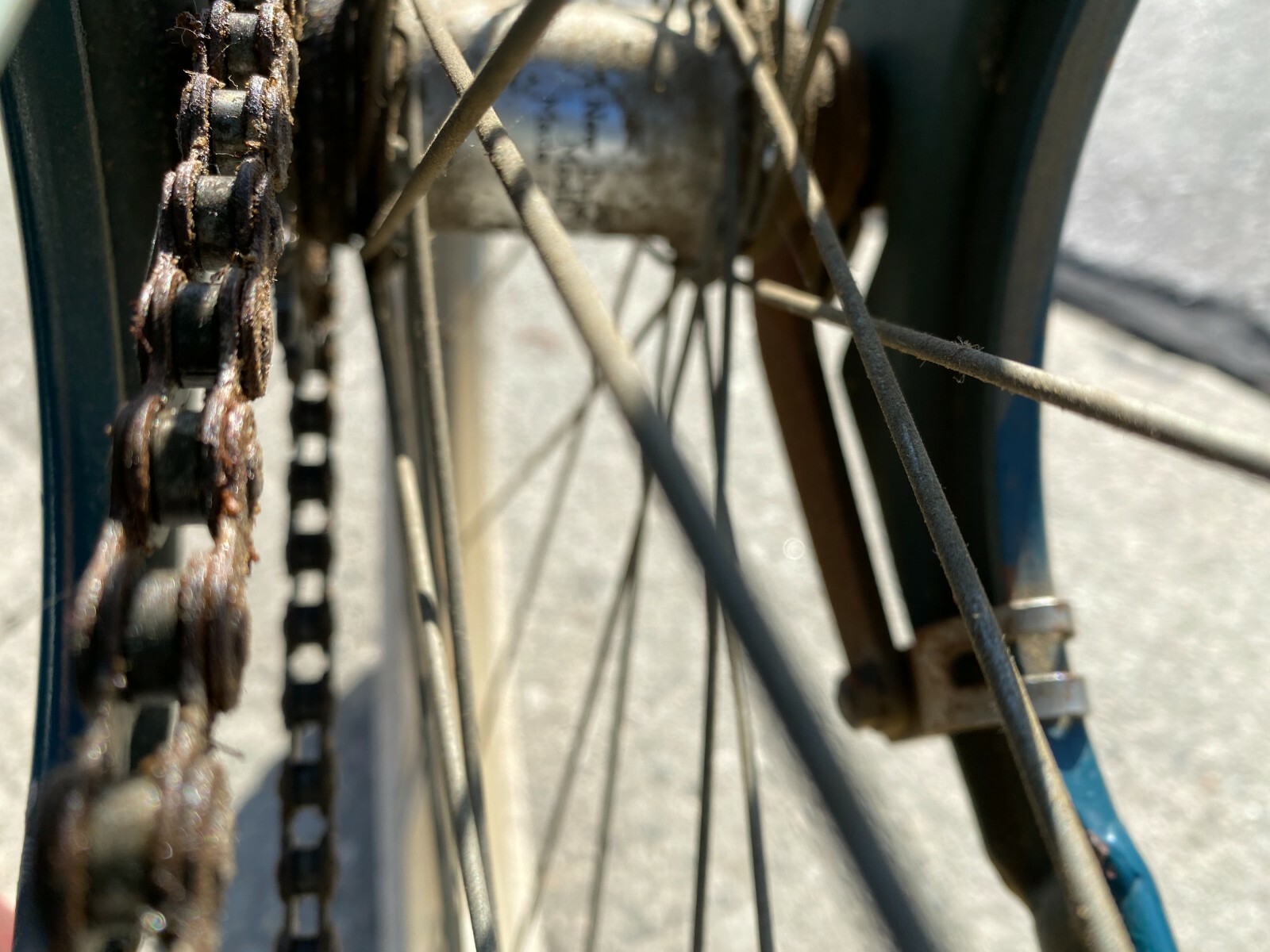 Vintage Colson Looptail bicycle New Departure Persons cruiser selling ...