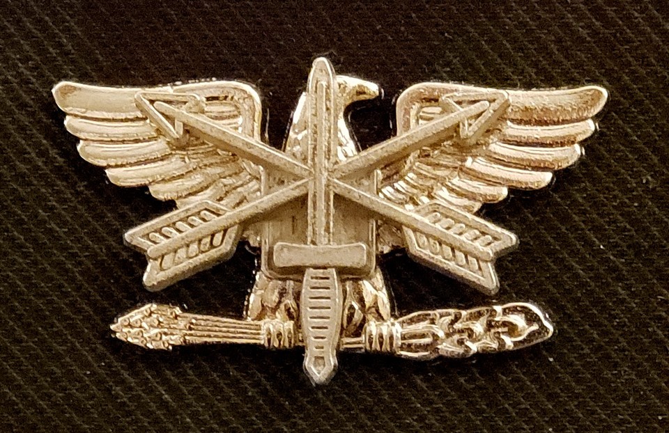 Special Forces SF Colonel Rank Officer Insignia Sabers Badge Hat Pin US ...