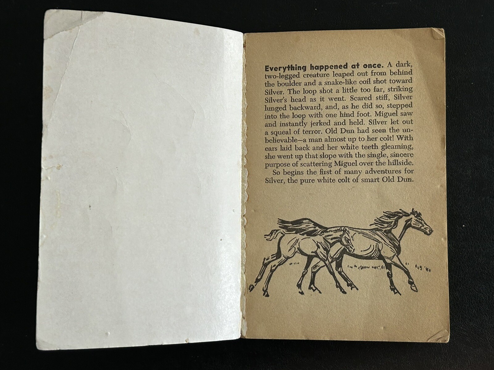 SILVER by Thomas C Hinkle 1956 Vintage TAB PB Book Childrens Western ...