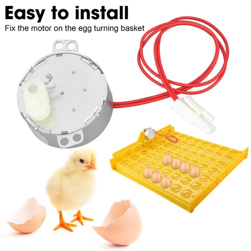 (12v)Egg Turnner Motor 4W Egg Turner Rotator Incubator Motor For ...