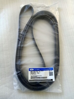 FORD RANGER EVEREST 2.2 PX 2015-21 Genuine Serpentine Drive Belt ...
