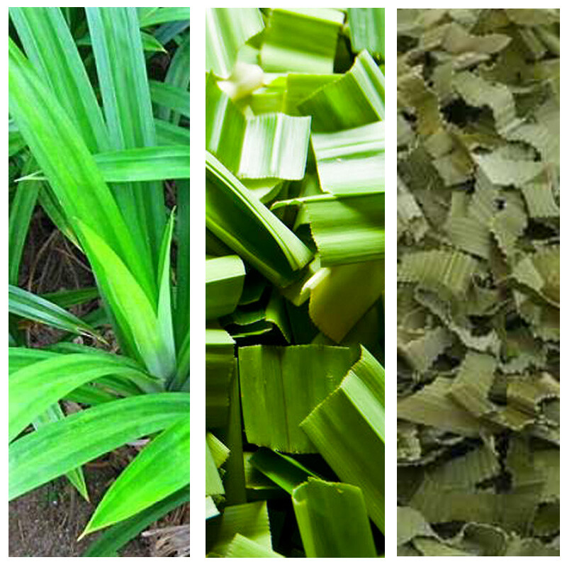 Rampe Organic Sun Dried Pandan Leaves Spice Natural Ceylon Pure ...