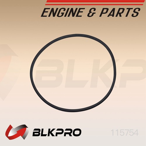 Fuel Pump SEAL RECTANGULAR RING o Ring for 5.9 Cummins Bosch P Pump ...