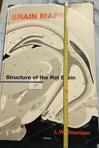 Brain Maps: The structure of the Rat Brain by L. W. Swanson 1992 HC ...