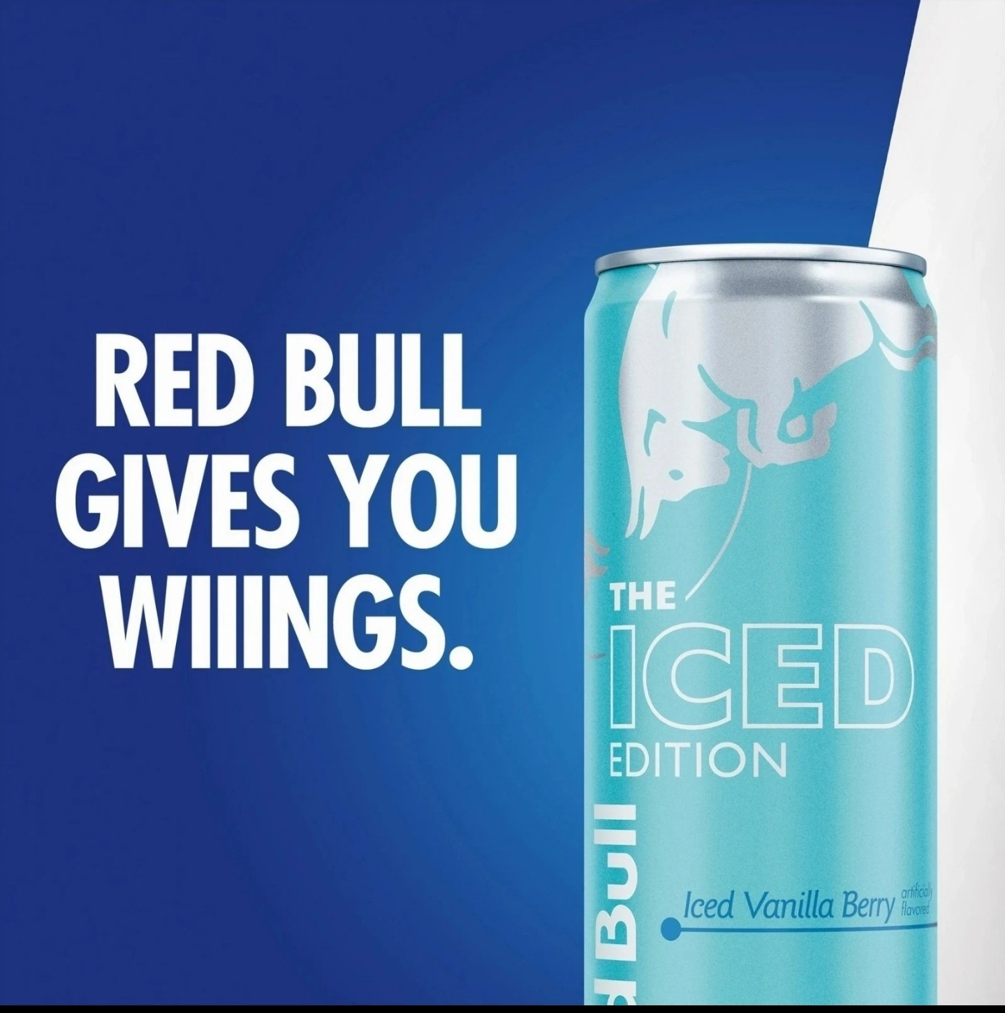 Red Bull Iced Edition- Iced Vanilla Berry 8.4 Fl oz (Pack of 24 Cans ...