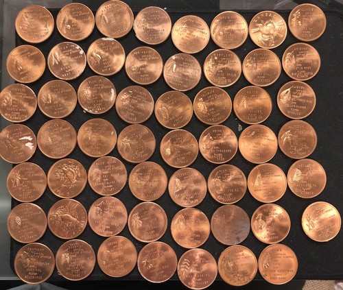 1974 Mount Everest Mint Solid Copper Rounds State wildlife 55 Copper ...