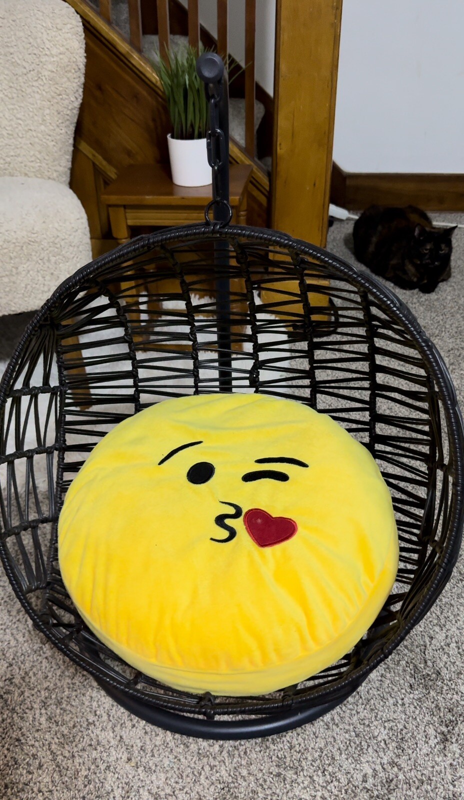 Rattan Wicker Swinging Bed Chair For Small Cat Dog EBay rattan-wicker-swinging-bed-chair-for-small-cat-dog-ebay