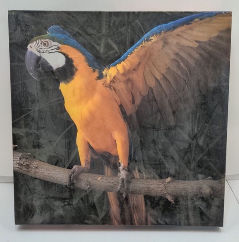 Hoyle Products Jungle Jabberer Puzzle 550 Piece Puzzle 10" x 24" Macaw ...