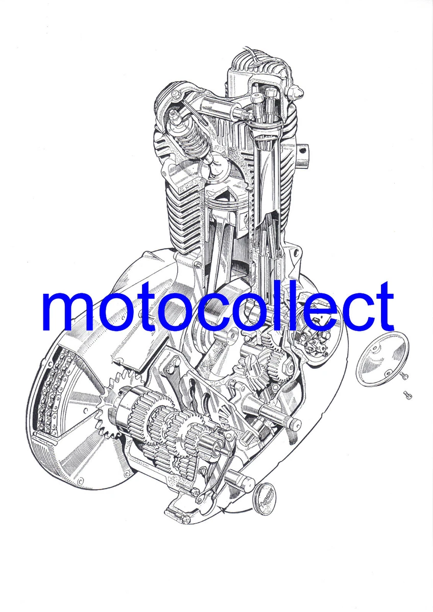 Triumph Motorcycle Engine Diagram