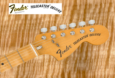 Telecaster Thinline Logo