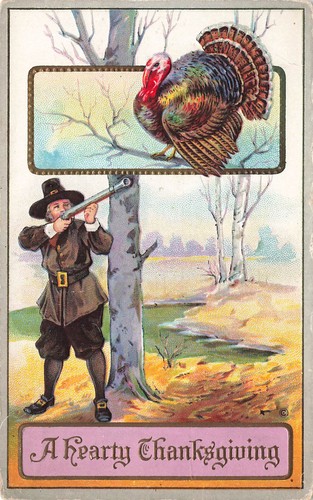 VINTAGE THANKSGIVING POSTCARD PILGRIM WITH MUSKET SHOOTS TURKEY IN TREE ...