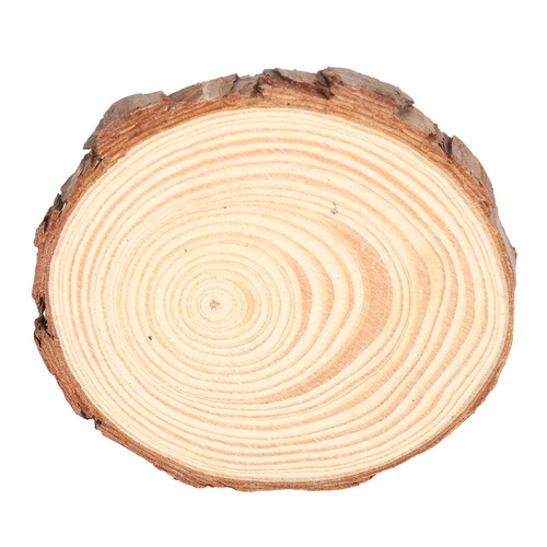Wood Slices Round Pine Logs Crafts Painting Wedding Party Decoration 4 ...