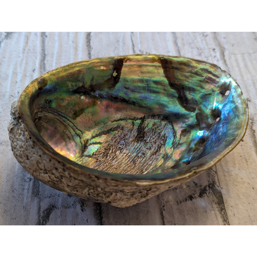 Vintage Abalone Shell | eBay