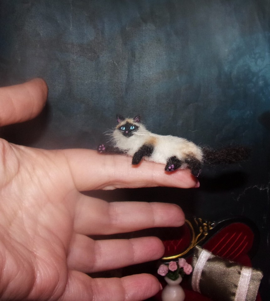 Realistic ragdoll cat MADE ORDER OOAK 1:12 Miniature Dollhouse handmade ...