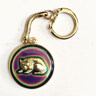 Japanese Sleeping Cat Keychain Toshogu Shrine Temperature Change Color ...