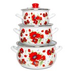 POPPY FLOWERS Enamelware Stockpot with Glass Lids, Enameled Cooking Pot ...