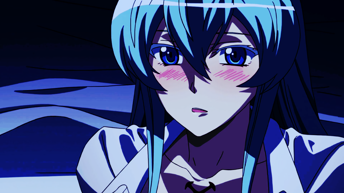 Wallpaper Anime Girls Akame Ga Kill Esdeath 1920x1080 Esdeath