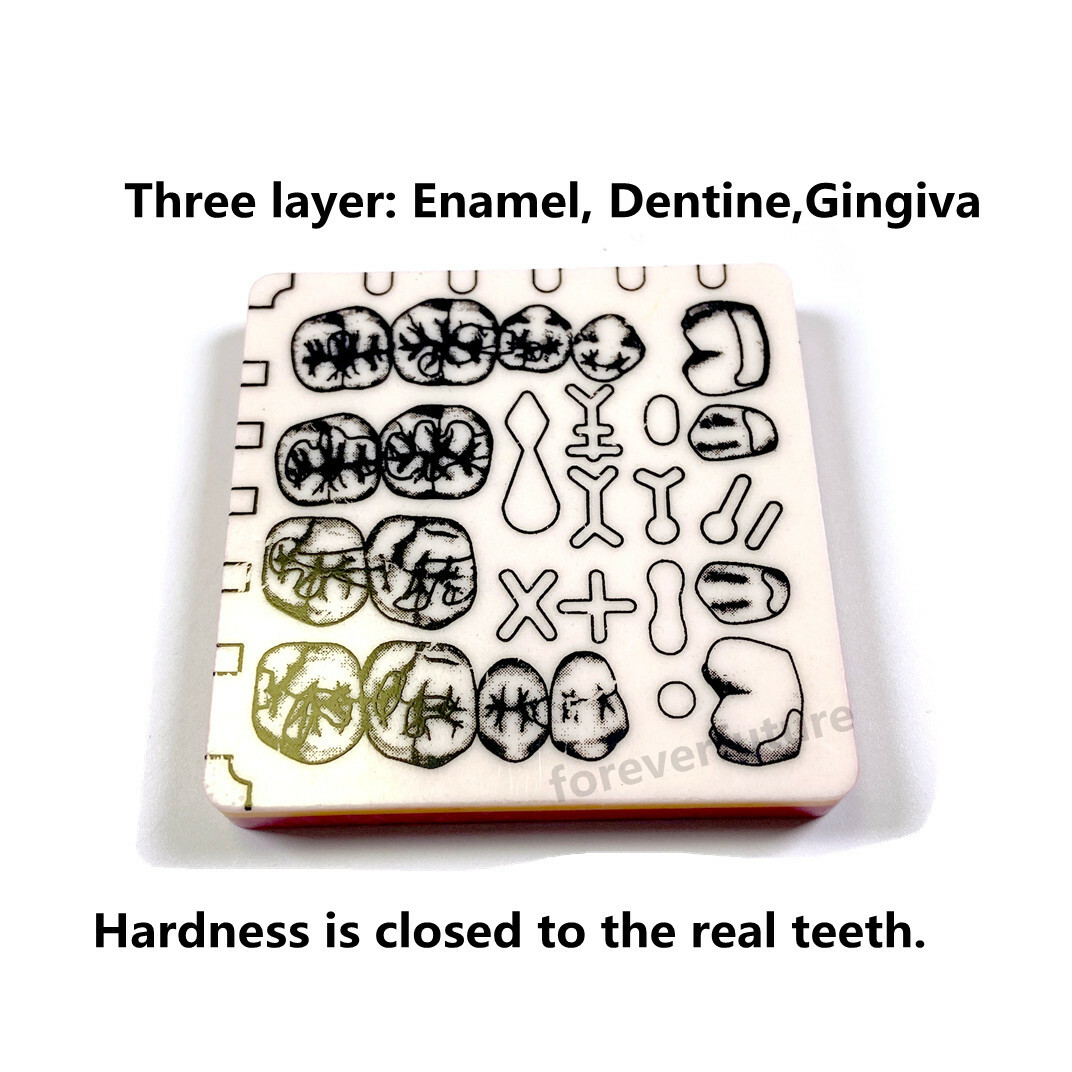 1Pc Dental Cavity Preparation Hole Dentin Shooch Practise Model Filling ...