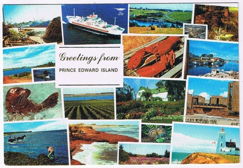 Postcard Greetings From Prince Edward Island PEI Multi View | eBay UK