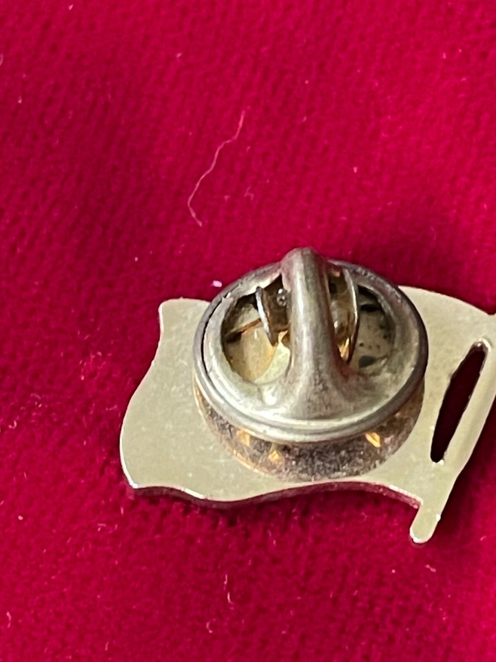 Arizona State Flag Epoxy Enamel Tie Lapel Pin .75" | eBay