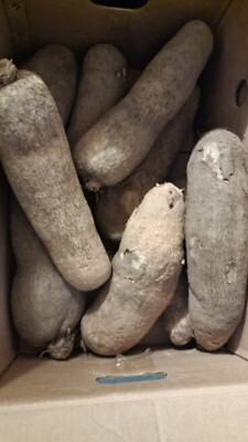 New Yam/ Soft Yam/Ghana yam/ African yam/ half box 25lbs | eBay