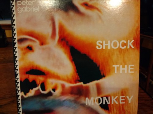 Shock The Monkey | eBay