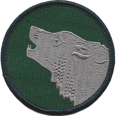 104th Infantry Division Patch | eBay