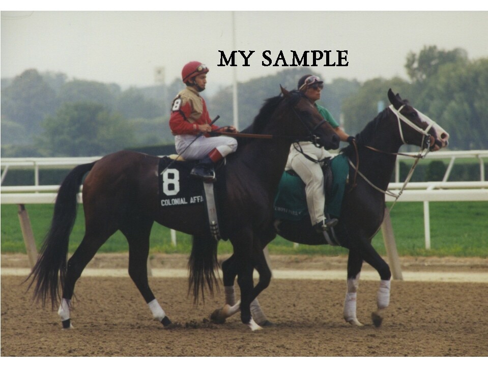VINTAGE COLONIAL AFFAIR 1994 WOODWARD STAKES BELMONT PARK 8" X 10" RACE ...