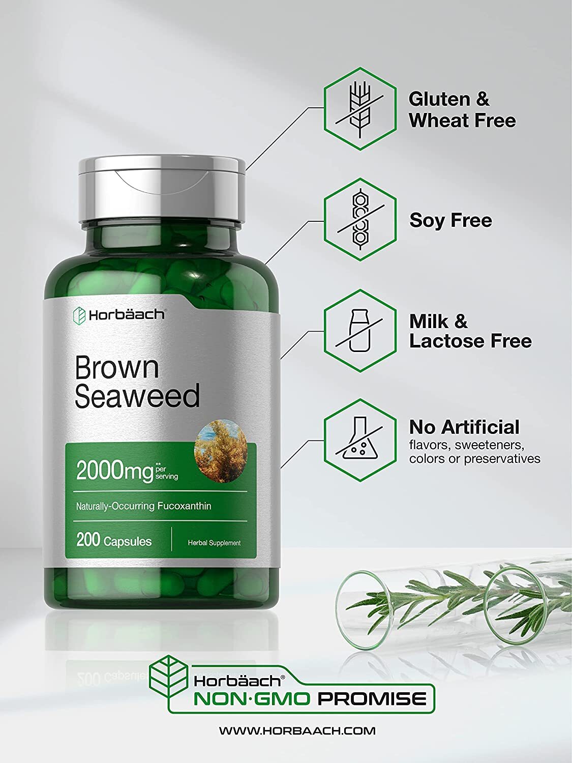 Brown Seaweed Capsules 2000mg | 200 Count | Fucoxanthin Supplement | by ...