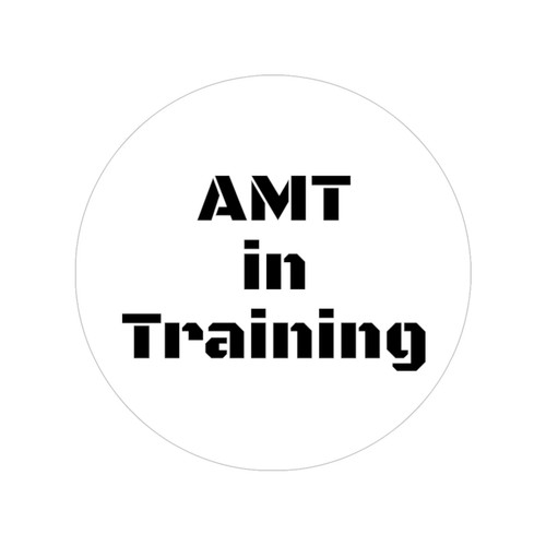 Black AMT in Training Round Outdoor Sticker, Car Decal | eBay