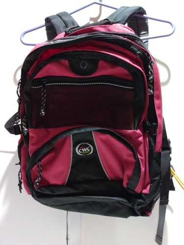 coldwater canyon backpack - Gem