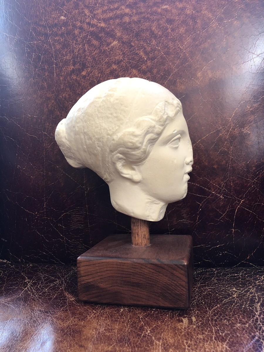 Plaster Head