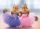 Chipmunk Ballerina Duo Funny Thank You Card - Greeting Card by Avanti ...