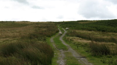 Photo 6x4 Moorland Track on Barningham Moor Scargill The track runs ...