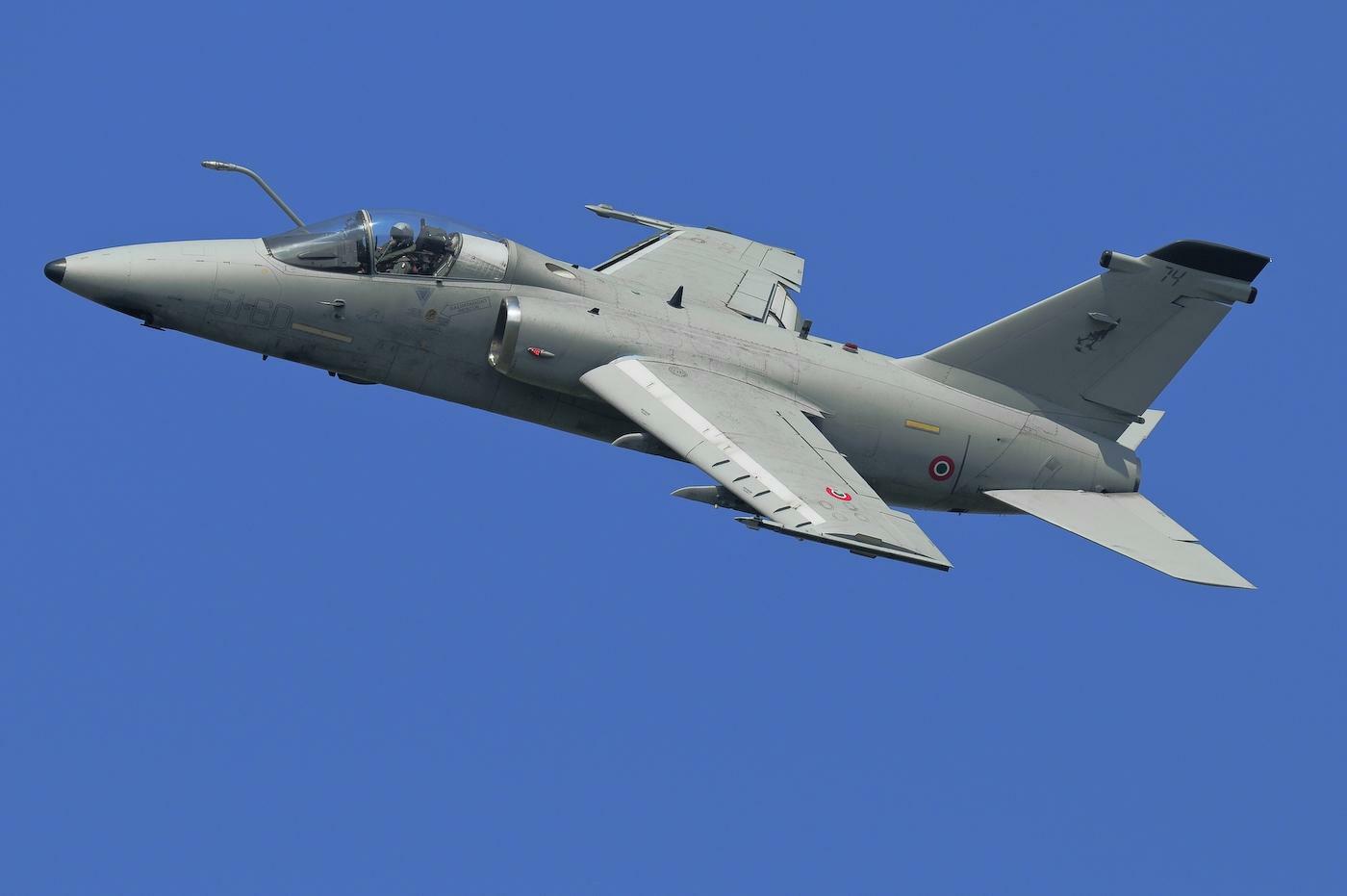 AMX International AMX Ground Attack Aircraft Desktop Kiln Dry Wood ...