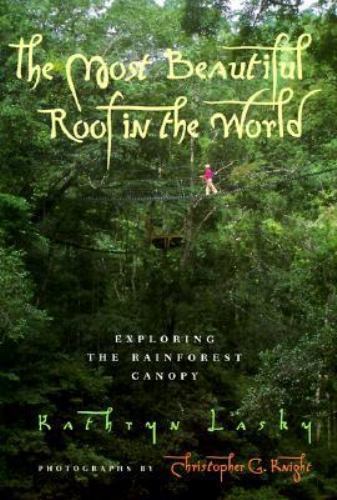 The Most Beautiful Roof in the World: Exploring the Rainforest Canopy ...