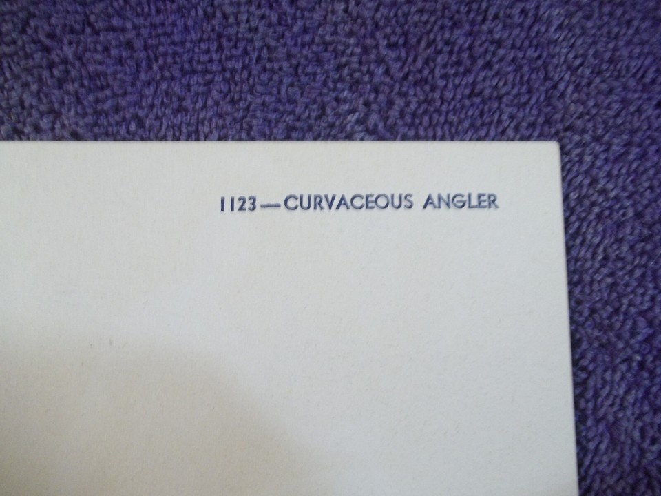 VINTAGE,Maybe 1940s/50s CALENDAR PIN UP GIRL SALESMAN SAMPLE-Curvaceous ...