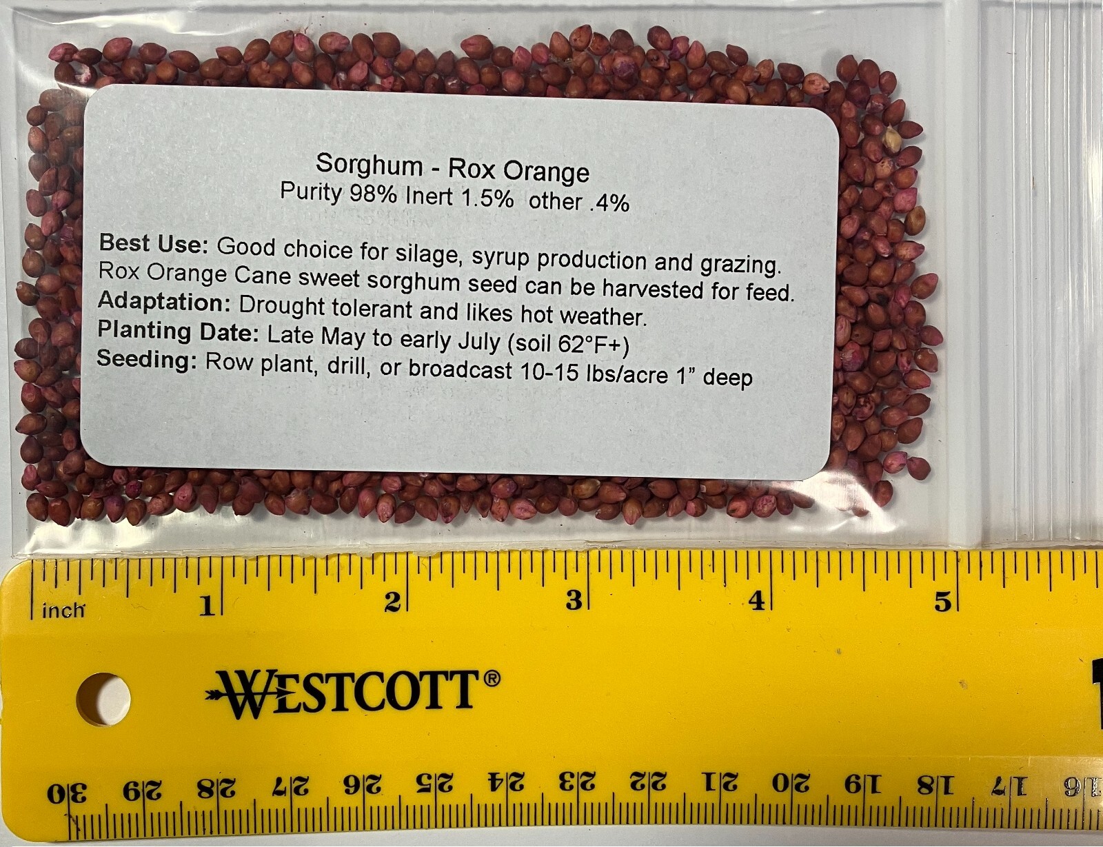 800-1000 Sorghum Seeds Rox Orange Syrup Cane Non-GMO Heirloom | eBay