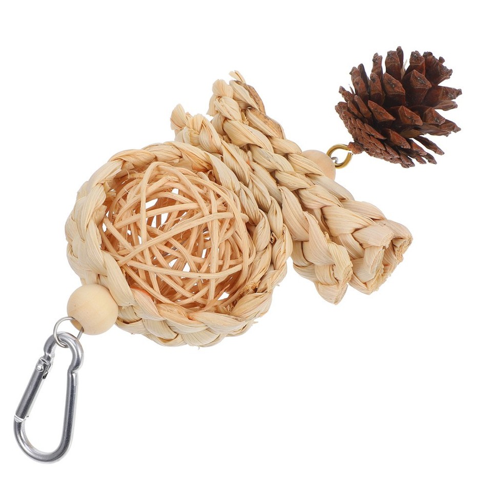 Parrot Climbing Toys Bird Chew Biting Toys Swing Hanging Bird Foraging ...