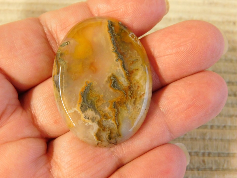 Graveyard Point Plume Agate Polished Cabochon - Owyhee Mountain Oregon ...