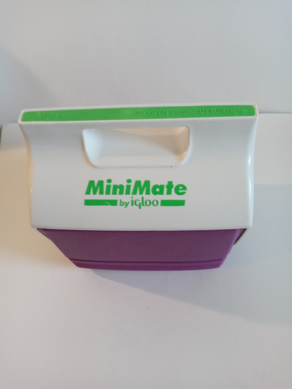 Igloo Mini Mate Cooler Lunchbox Purple White And Green VTG | eBay